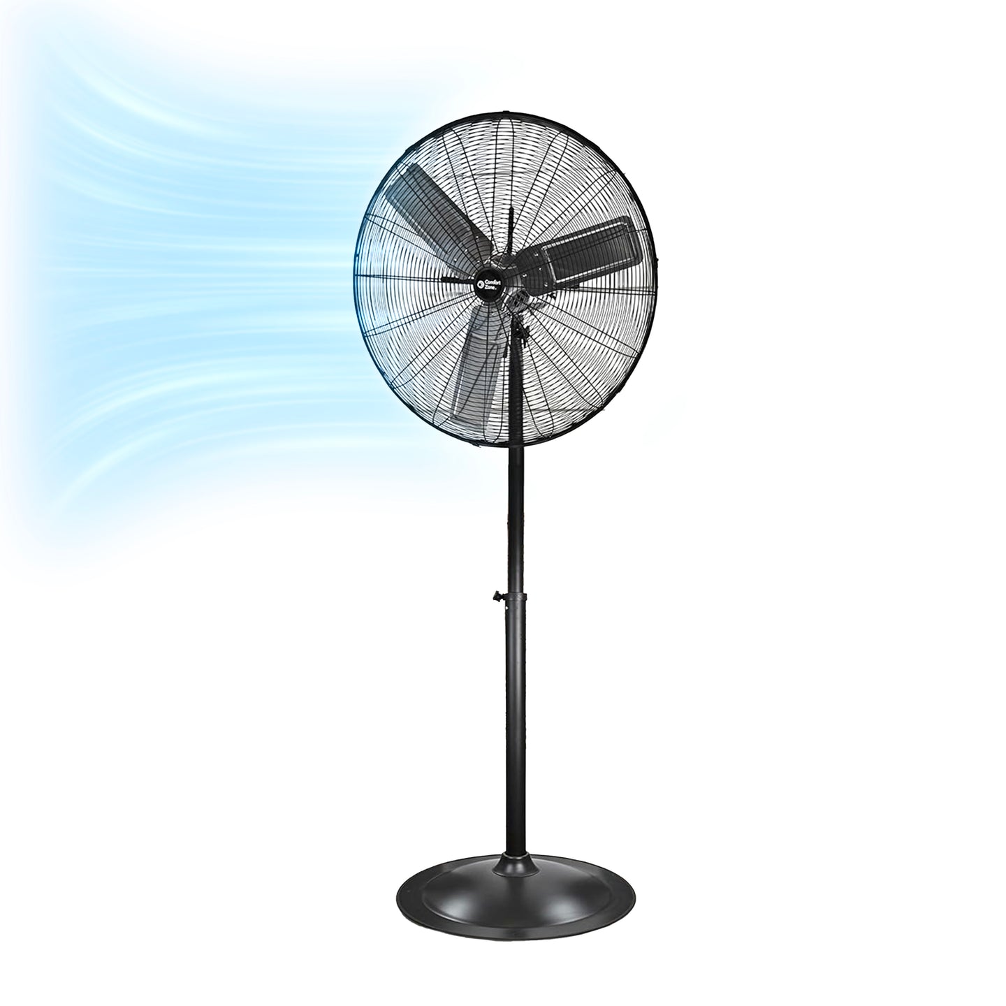 Fans